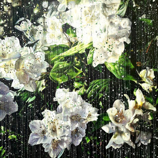 Jasmine Flowers 03 by An Doan Nguyen - Limited Edition. Edition of: 150 ...
