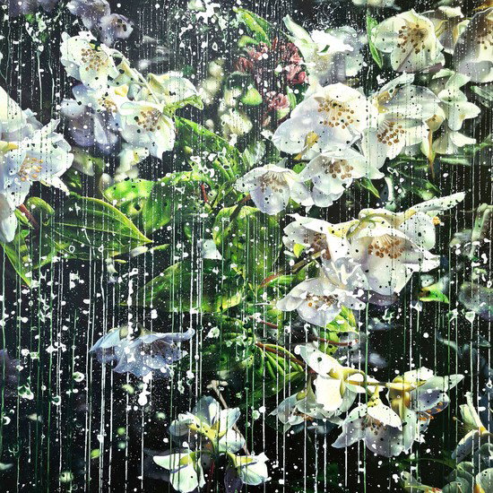Jasmine Flowers 04 by An Doan Nguyen - Limited Edition. Edition of: 150 ...