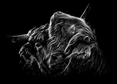 Claudio Gotsch Fine Art Prints and Photography | LUMAS