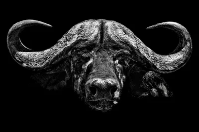 Claudio Gotsch Fine Art Prints and Photography | LUMAS