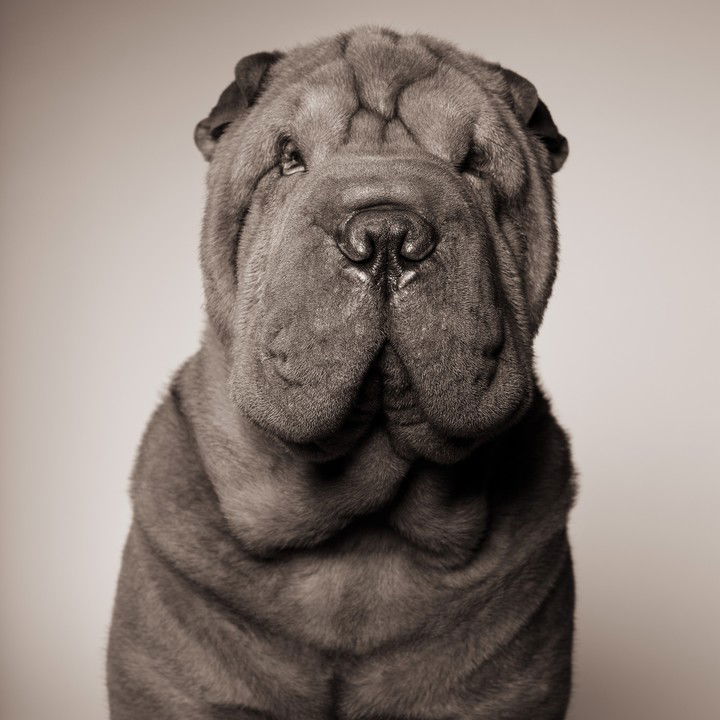 Catherine Ledner Fine Art Prints and Photography | LUMAS