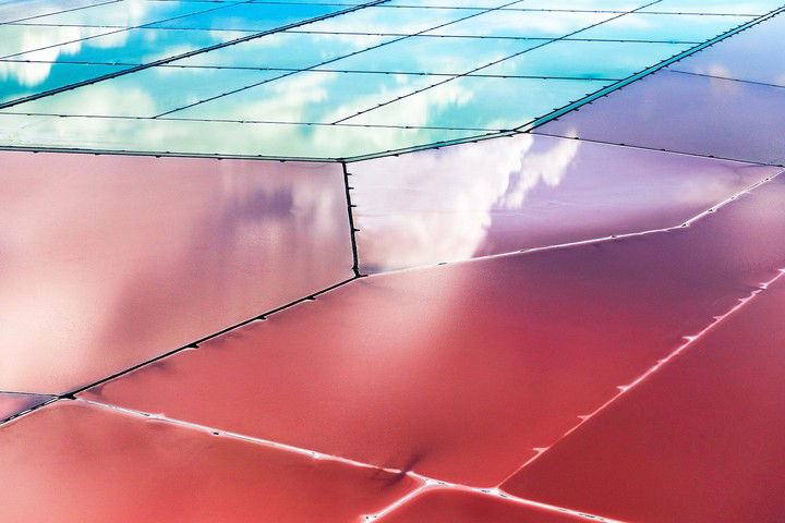 Daniel Reiter Fine Art Prints and Photography | LUMAS