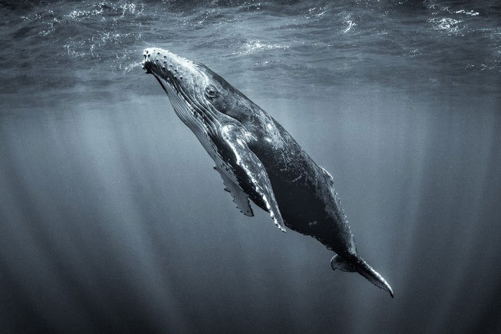 George Karbus Fine Art Prints and Photography | LUMAS