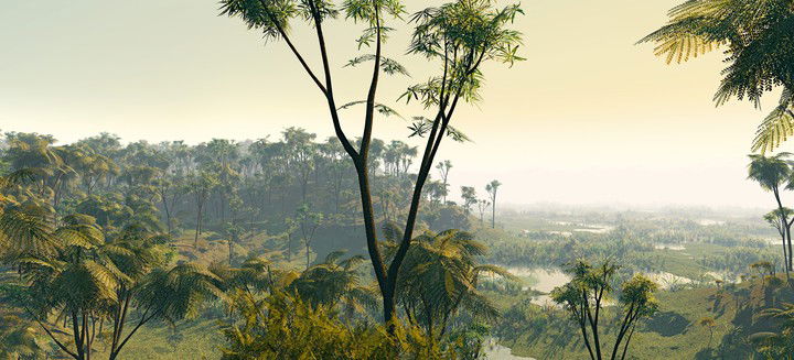 Gerhard Mantz Fine Art Prints and Photography | LUMAS