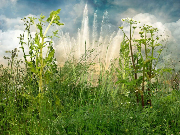 Jose Ramon Ais Fine Art Prints and Photography | LUMAS