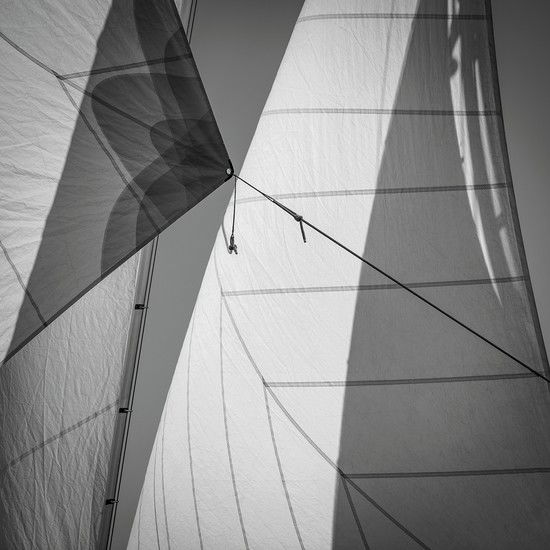 Élan by Len Van Brook - Limited Edition. Edition of: 100. Signed.