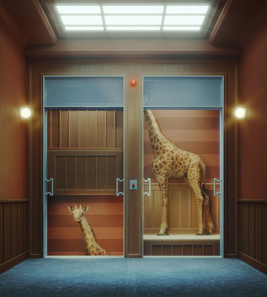 Giraffe by Massimo Colonna - Limited Edition. Edition of: 150. Signed.