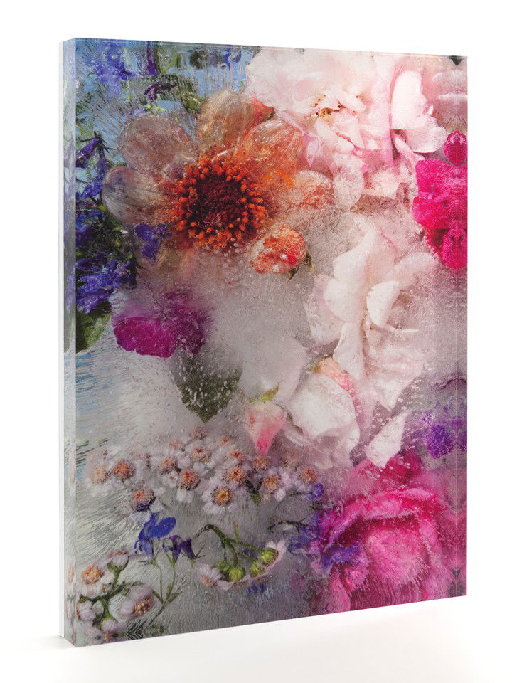 Mary Kocol Fine Art Prints and Photography | LUMAS