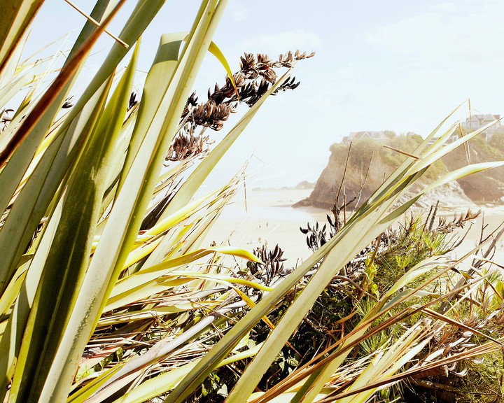 Mark Leary Fine Art Prints and Photography | LUMAS