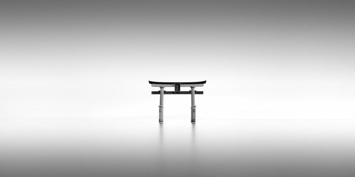 Michael Levin | Bilder & Fotos bei LUMAS