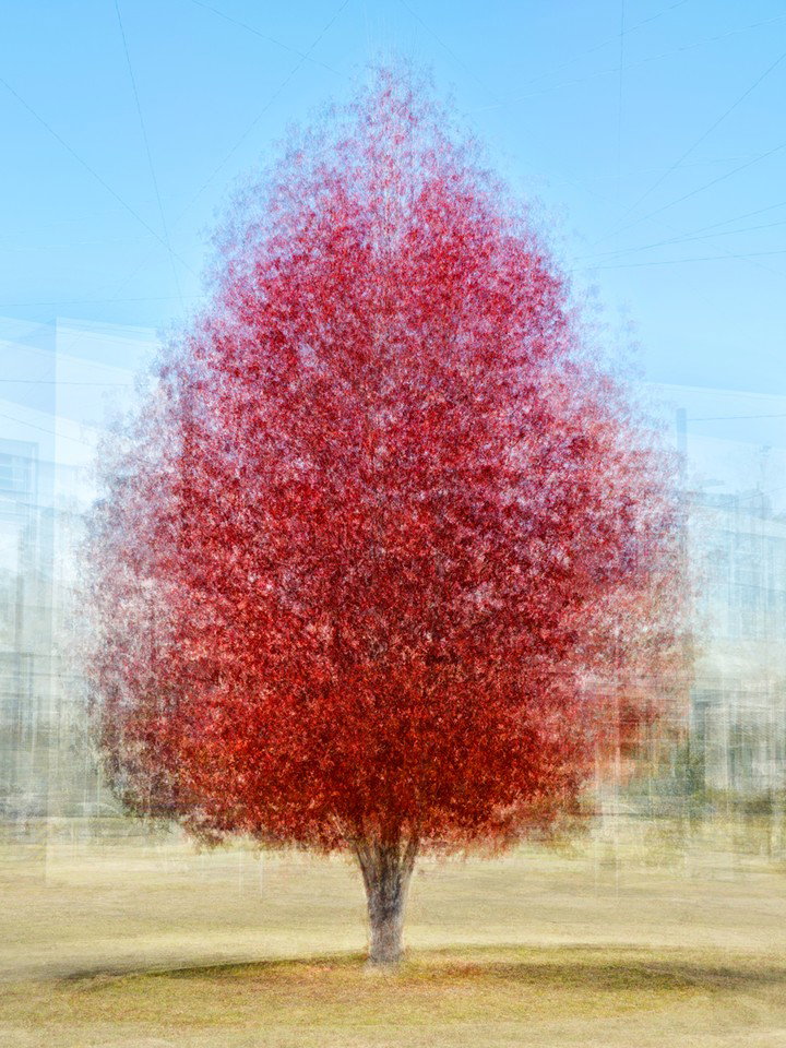 Pep Ventosa Fine Art Prints and Photography | LUMAS