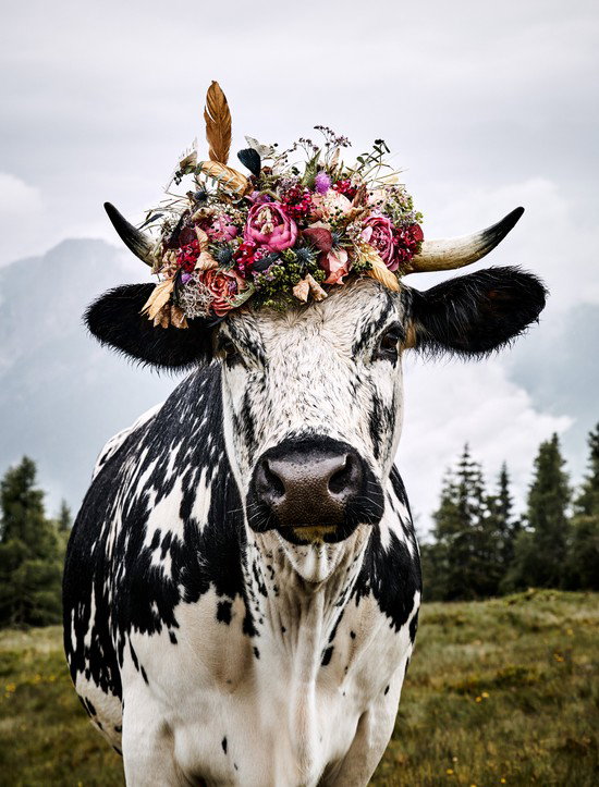 Helena by Ramona Waldner - Limited Edition. Edition of: 150. Signed.