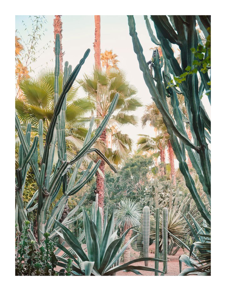 Simon Watson Fine Art Prints and Photography | LUMAS